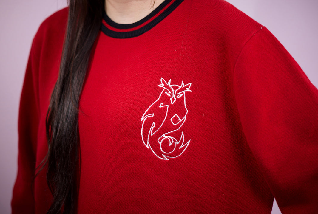 Products – Ventis Vision